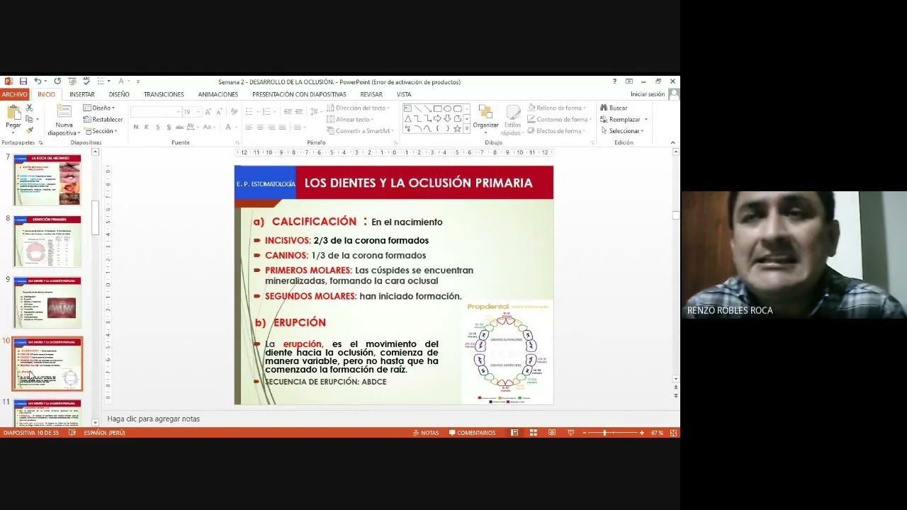 VI Odontopediatría clase 2 desarrollo de la oclusión