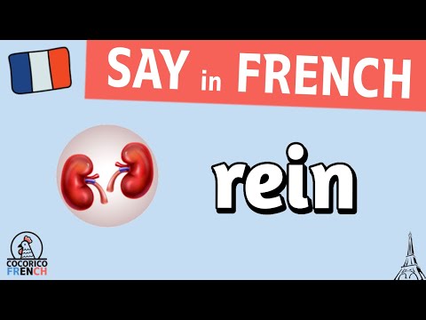 rein - SAY IN FRENCH / how to pronounce "KIDNEY" in French [Cororico 🐔 French]