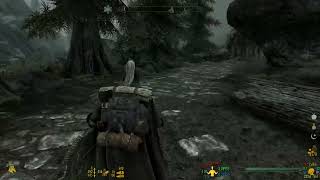 Controller Walk Run Toggle SSE paired with Running Stamina Cost at ...