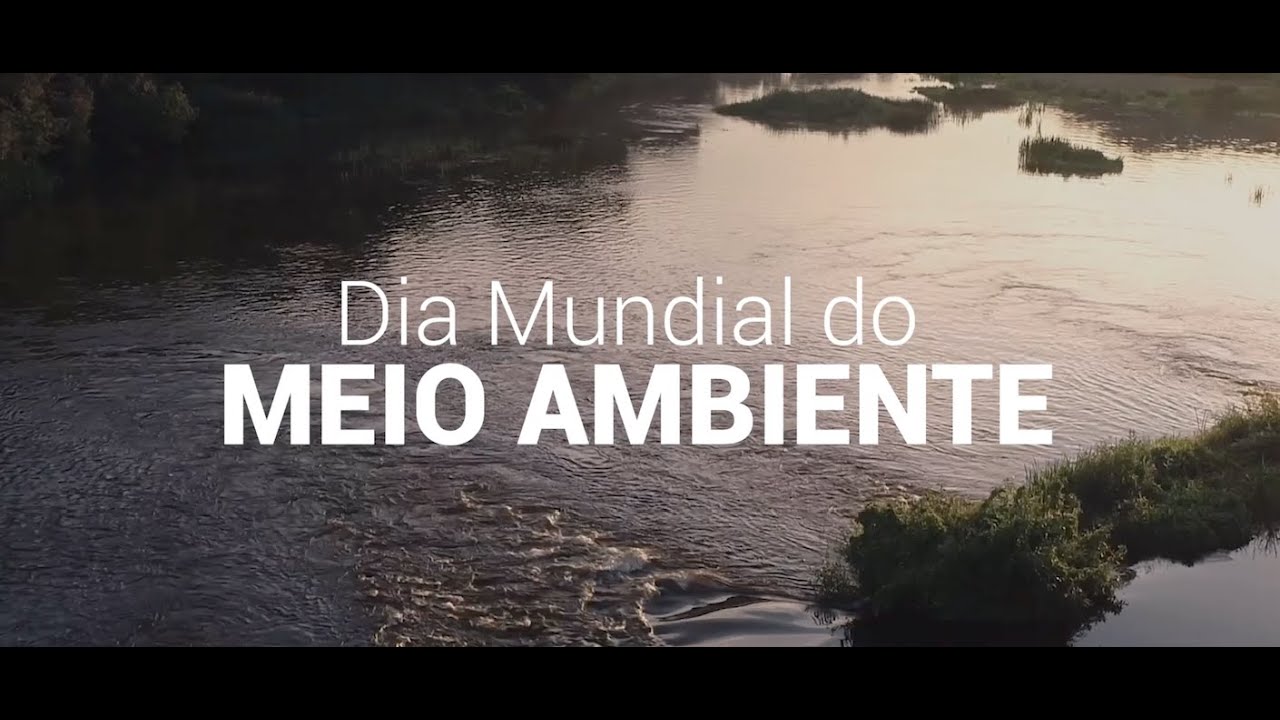 Dia Mundial do Meio Ambiente 2022