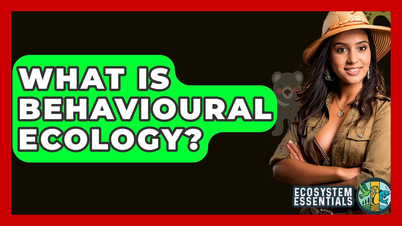 What Is Behavioural Ecology? - Ecosystem Essentials