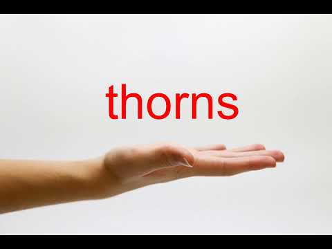 How to Pronounce thorns - American English