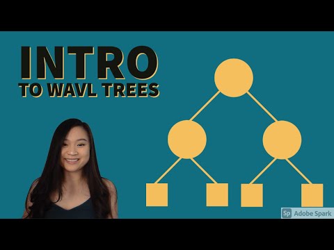 Introduction to Advanced Data Structures: WAVL Tree