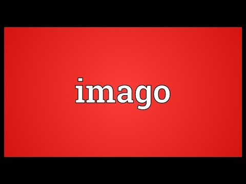Imago Meaning