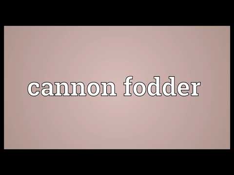 Cannon fodder Meaning