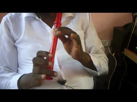 HOW TO PLAY NOTES (BAG) ON A DESCANT RECORDER