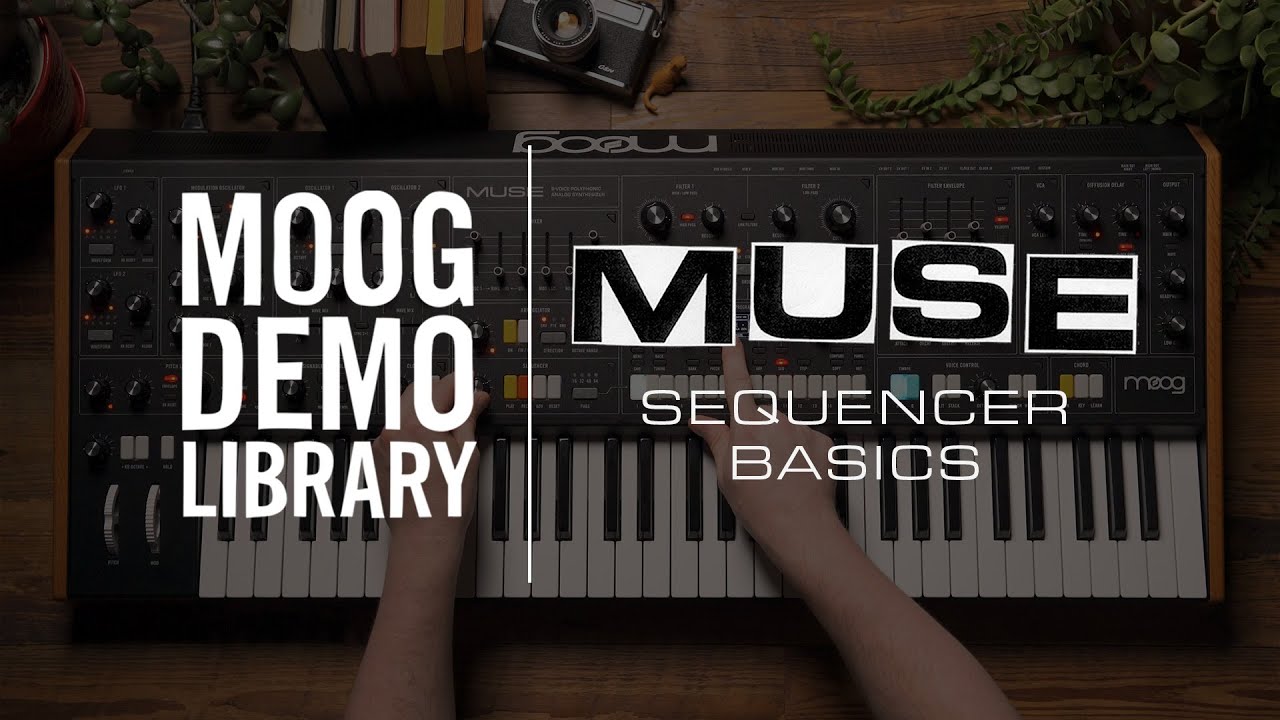 Muse | Sequencer Basics