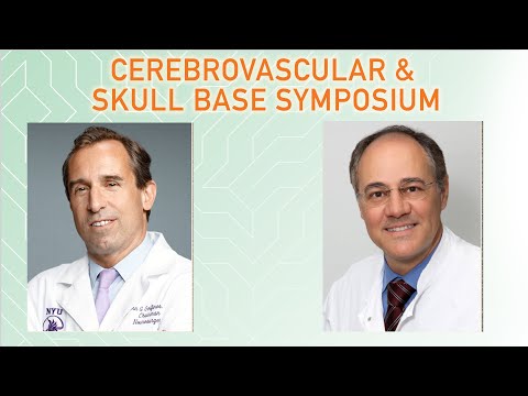 7-2-20 ACOUSTIC NEUROMAS MICROSURGERY DEBATE-Golfinos/Tatagiba/Link/Telischi/Barker/Thompson-Morcos