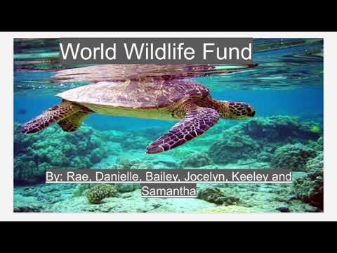 World Wildlife Fund video presentation
