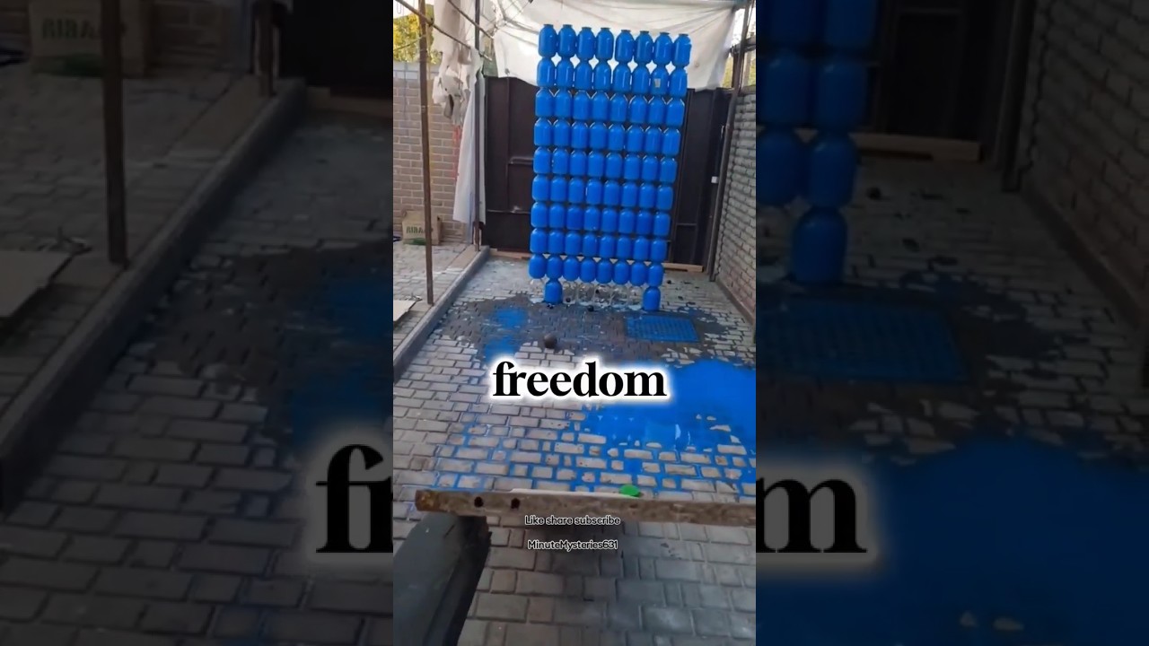 Facts about the colors of flags #shortsfeed #shorts