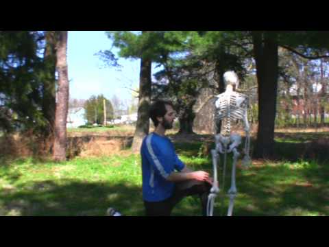 5 Hamstring Anatomy
