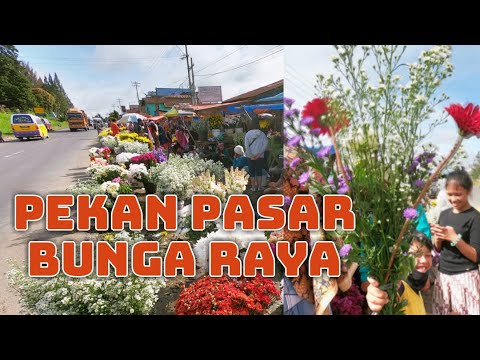 Desa Wisata Raya Seribu Bunga