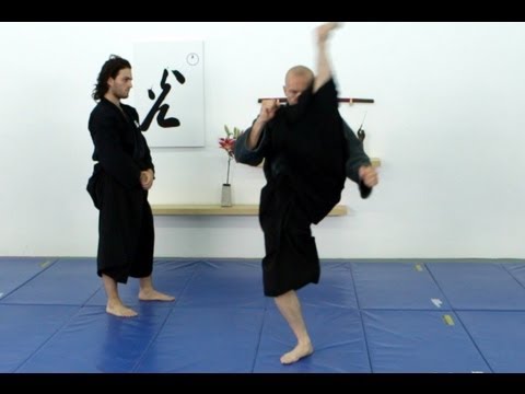 Ninjutsu Kicks | AKBAN