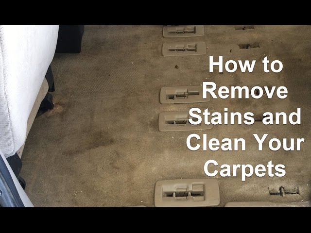 Auto Magic Special Cleaner - Gallon - 713-04 - SharpTruck.com