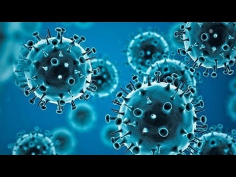 How Did Maritime Trade Impact the Spread of Disease?