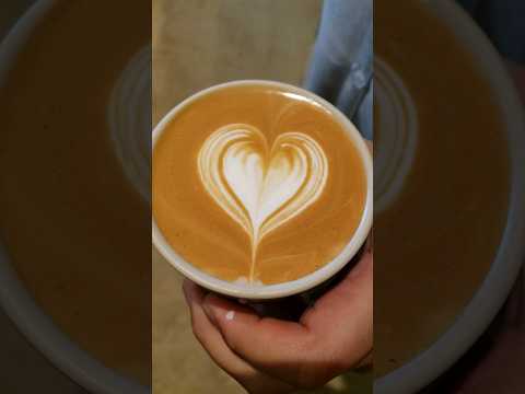 maya latte art #cover #music #song #lyrics #cinegurunganssabinrai#nepalilovesong #coffee #latte #la