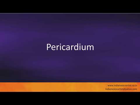 Pronunciation of the word(s) "Pericardium".