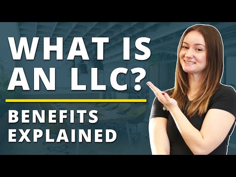 What is an LLC? (Limited Liability Company) - A TRUiC Guide