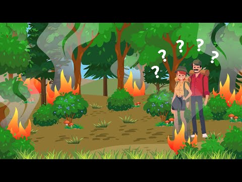 Waldbrand - was jetzt? Brennpunkt Wald erklärt's