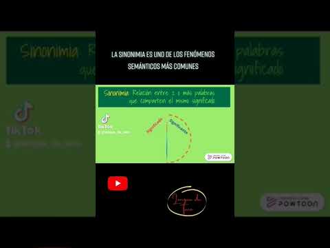 ¿Sabes lo qué es la sinonimia? 🤔En Lengua de taco te contamos. 🤗
