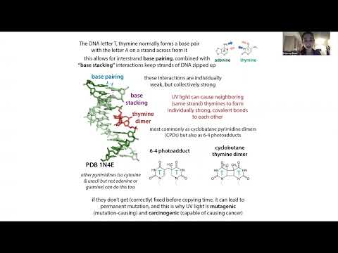 Mutation mumbo-jumbo: terminology, types, & potential effects
