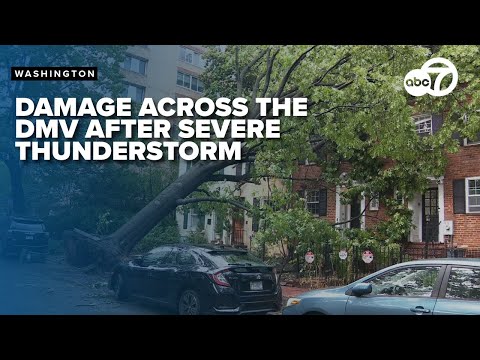 Strong storms clear the DC region, now communities must recover from its damage