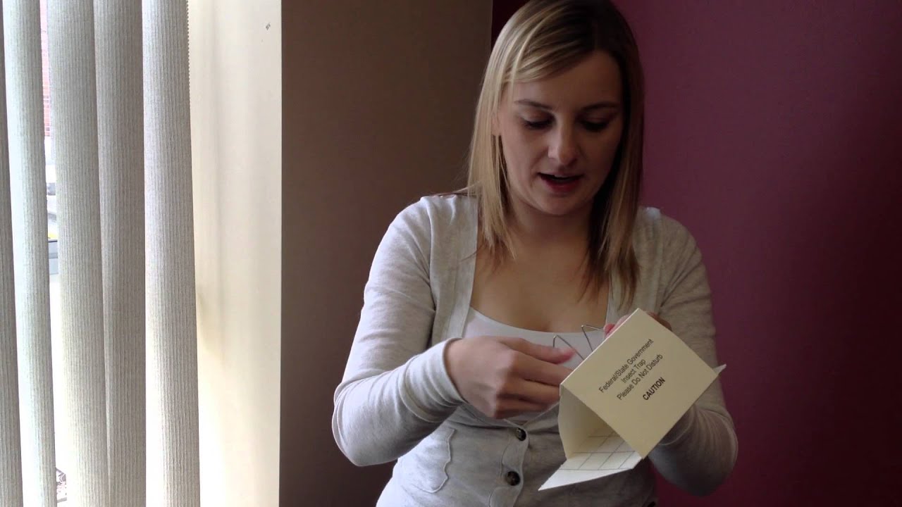 Swede Midge Trap Guide