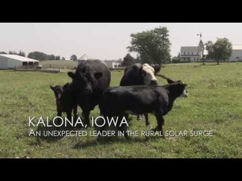 A Solar Leader Emerges in Rural Iowa