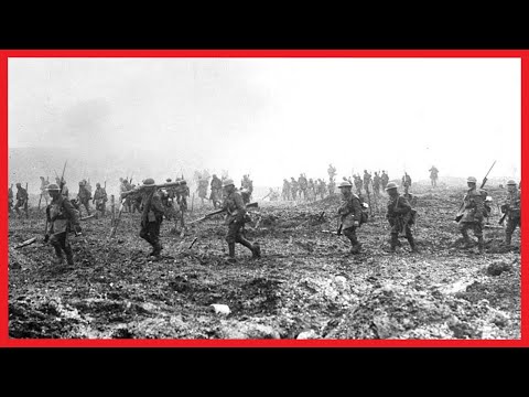 25 Incredible Photos Of The Western Front in WWI
