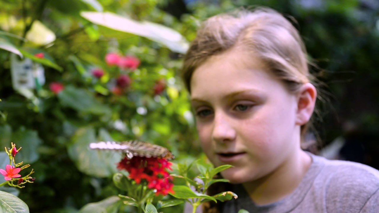 Women and Girls in STEM