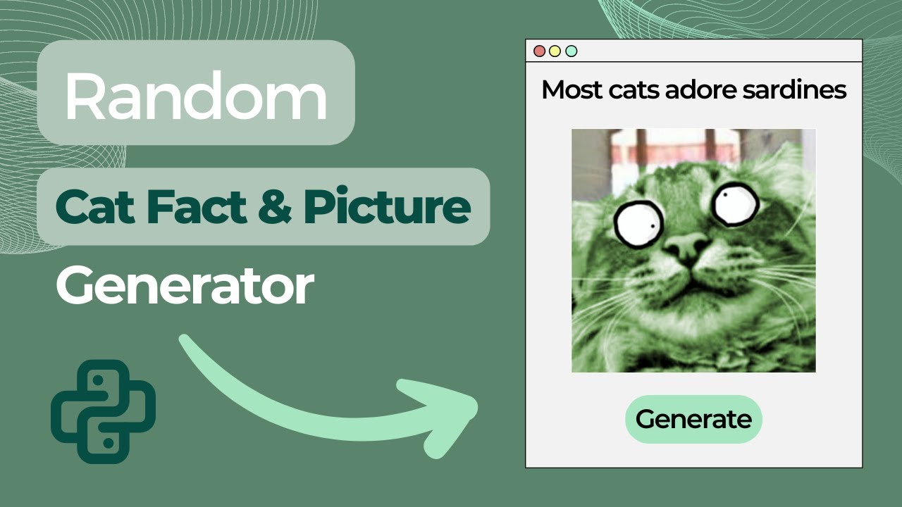 Random Cat Fact and Picture Generator | Python Tutorial