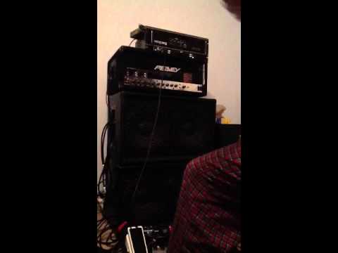 Ampeg SVT II Non-Pro All Tube 300 watts | Reverb
