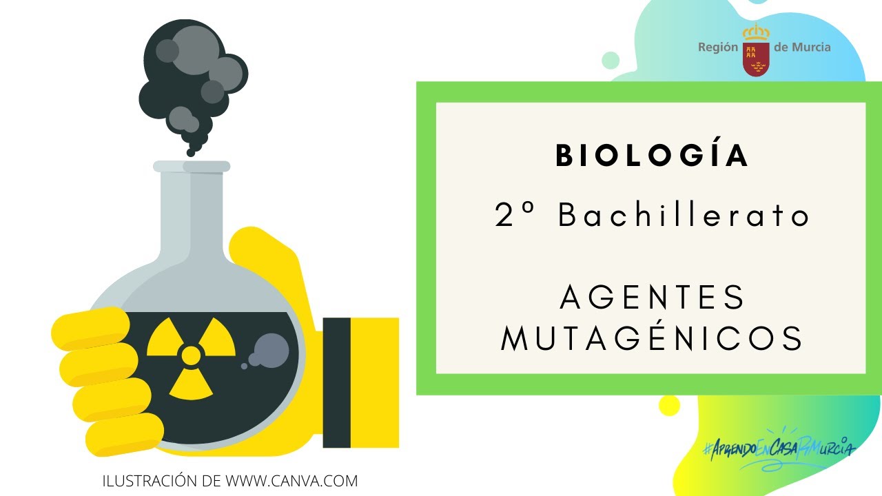 ¿Qué es una sustancia mutagénica? – VALETRY