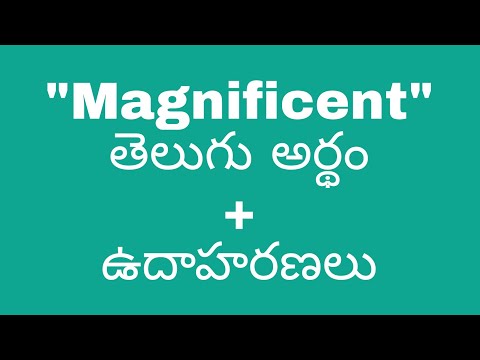 Magnificent meaning in telugu with examples | Magnificent తెలుగు లో అర్థం @meaningintelugu