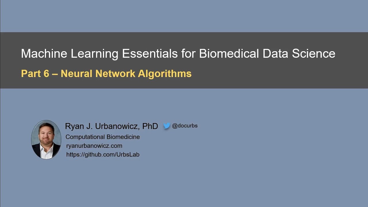 6. Neural Network Algorithms