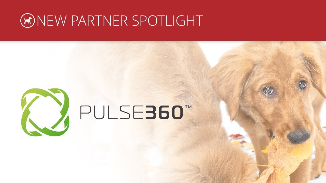New Partner Spotlight - Pulse360