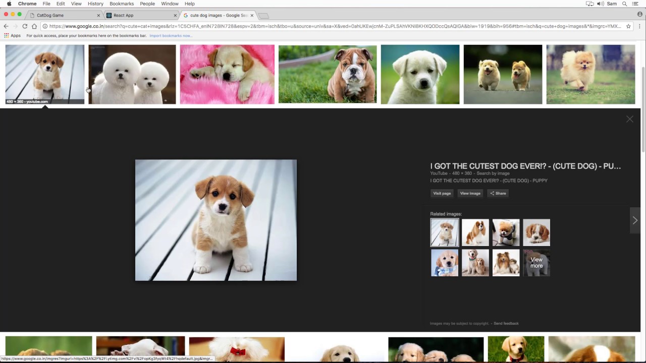 Lecture 33 -  Adding Img and Button React Element
