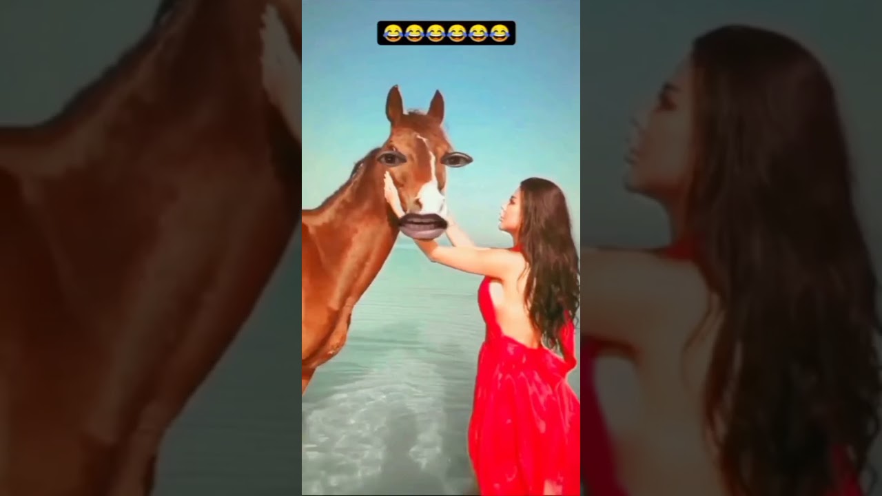 Pin on Quick saves #shorts #shortvideo