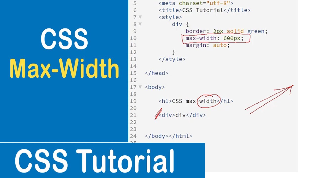 #23 CSS Max Width Property | Responsive Element | Margin Auto | CSS Tutorial
