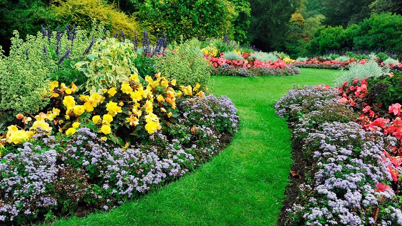 Tema 4 - Las Plantas