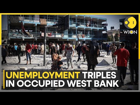 Israel-Hamas War: Gazan GDP dropped by 81% in Q4 of 2024: UNCTAD | World News | WION