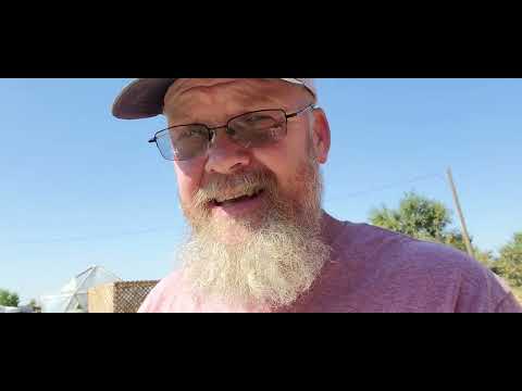 how raise and keep an endless supply of fish bait minnows. #homesteading #fishbait #minnows