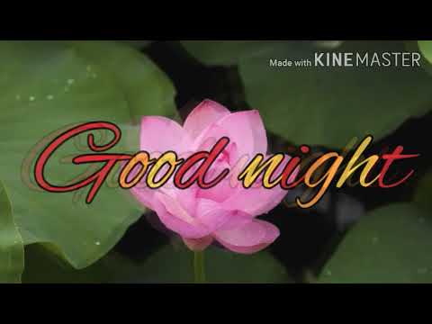 Good night video images pics photos gifs and hd wallpapers for status