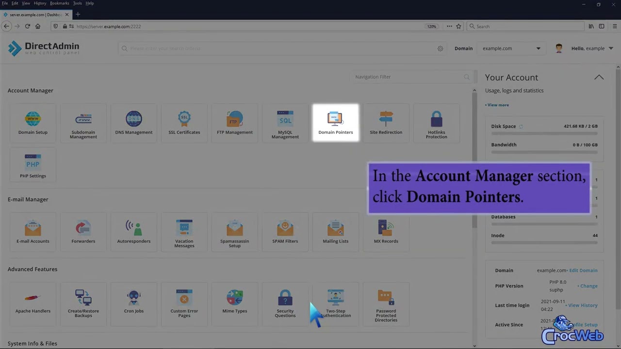 How to remove domain pointer in DirectAdmin - CrocWeb Cloud