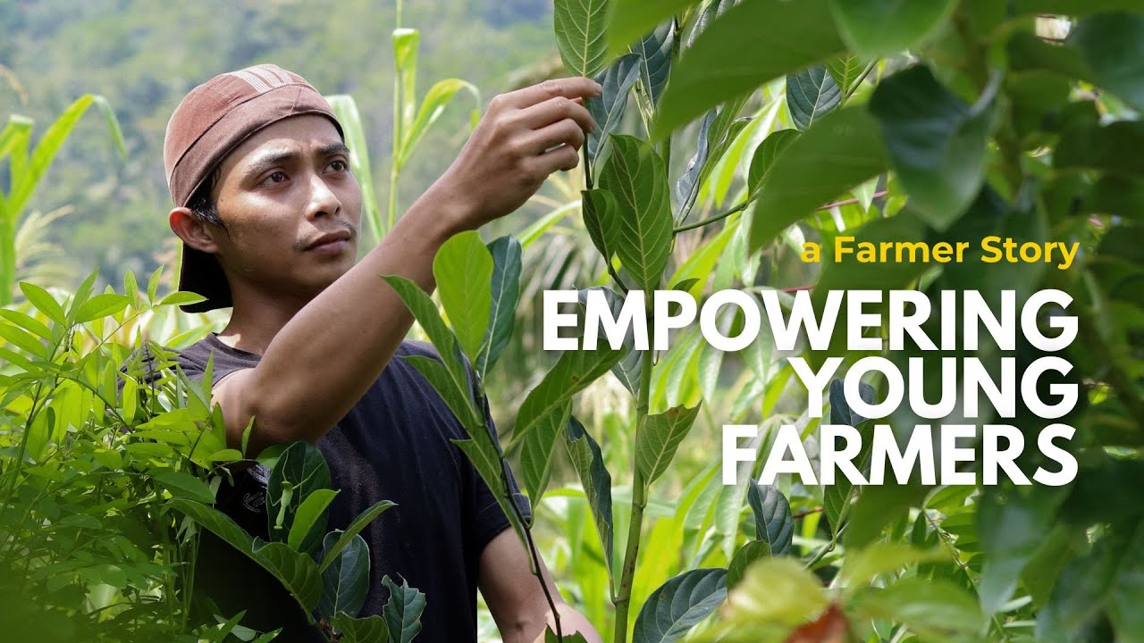 Reforestation with Young Farmers in Kebumen| Sustainable Farming | Trees4Trees