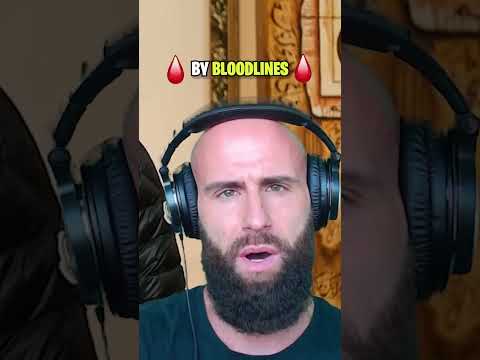 SHIA VS SUNNI ISLAM