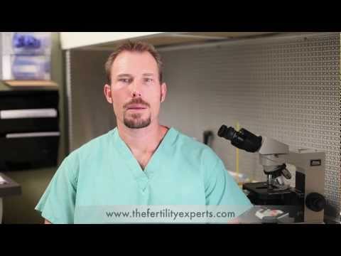 Semen Analysis for Male Infertility