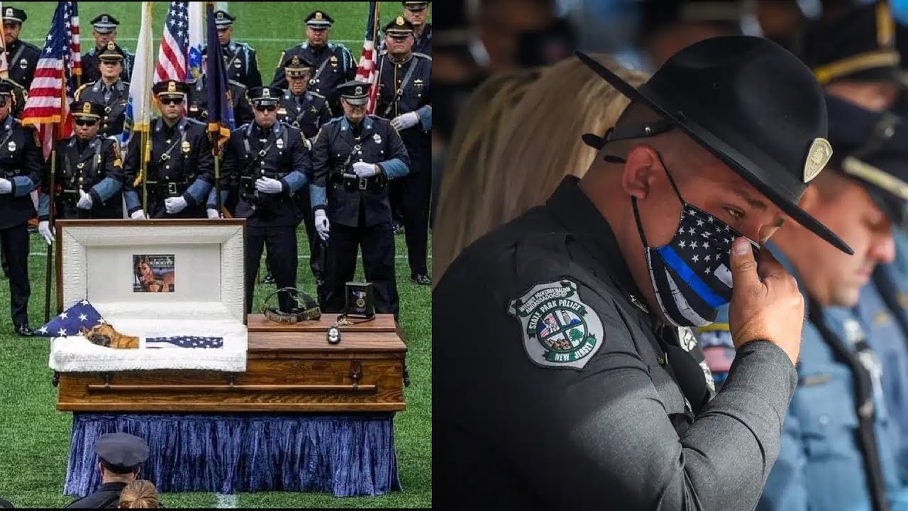 Police Dogs K9 Funeral Processions. Thank You for Your Service.