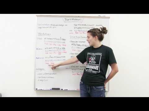 Point Mutations