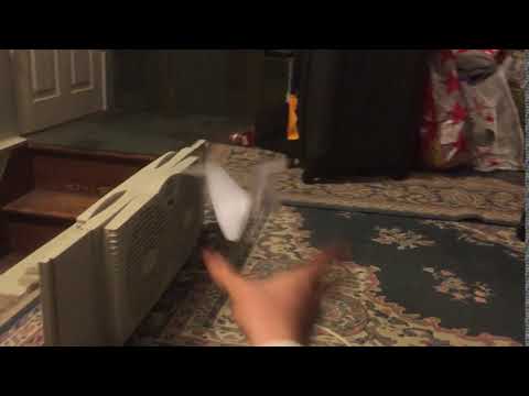 Cruising Velocity – Daniel Neuwirth Physics Scrapbook